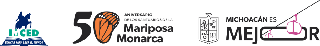 HOME IMCED 2025 (ANTERIOR)